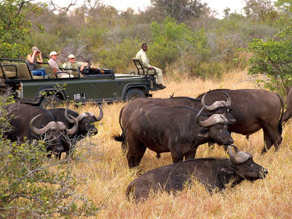 visit Endoro waterfalls in Ngorongoro on Tanzania self drive - Self ...